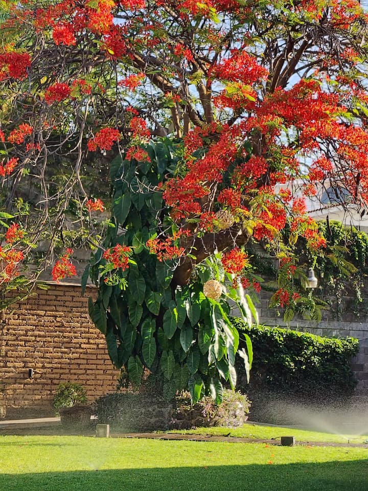 Casa Bito
Aire/acond. Y Bomba De Calor Sin Costo - Cuernavaca