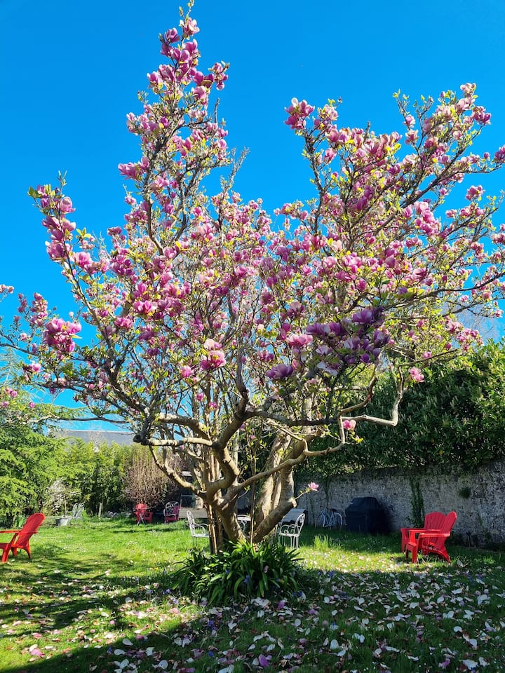 50 M Des Remparts, Jardin, Jacuzzi - Guérande