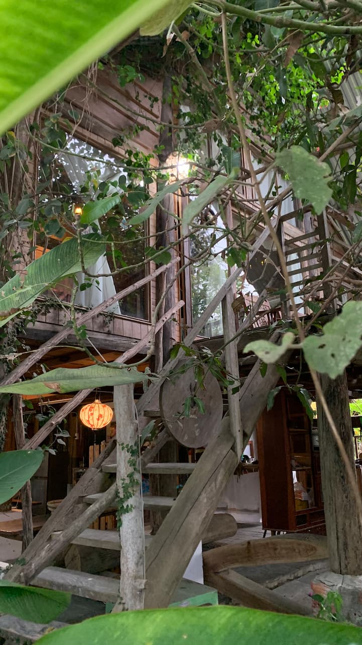 Rustic Treehouse-coconut Village-rural Experience - Vietnam