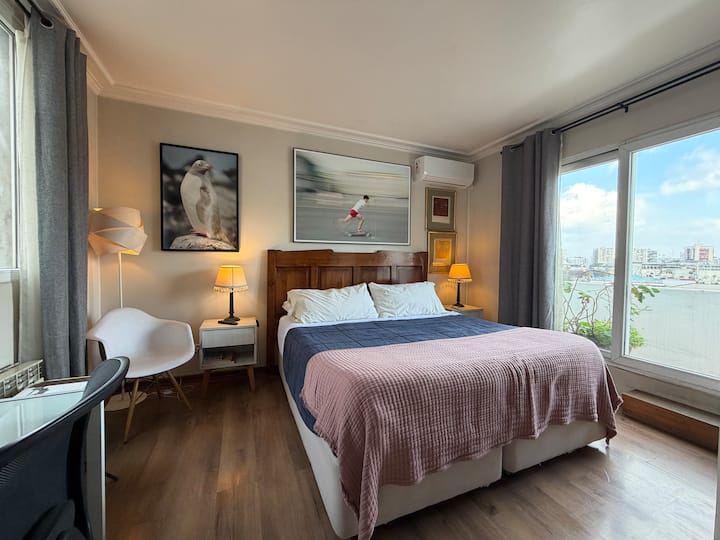 Top-floor Apartment With A Wonderful View, Lastarria - Santiago