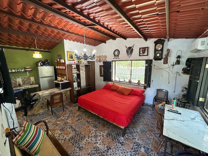 Quinta Papucho Con Cenote Privado - Yucatán