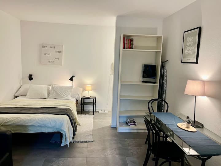 Best Area At The Lake - Zurich