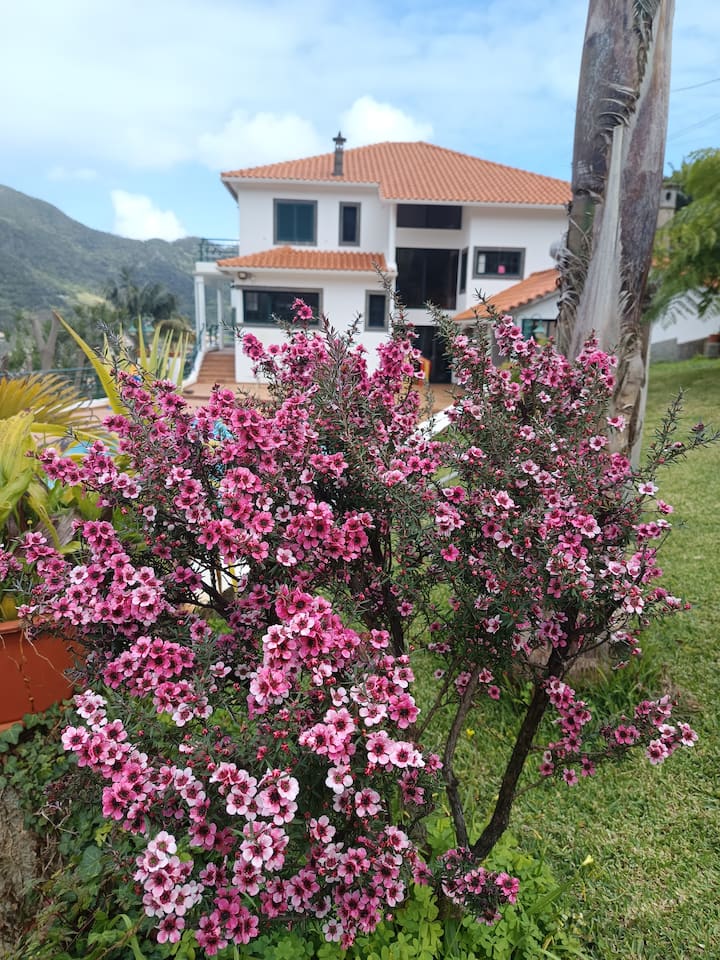Traveller's House * - Madeira