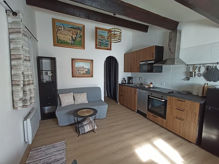 Appart' Lazy Lizard Proche Plages à Juan-les-pins - Juan-les-Pins