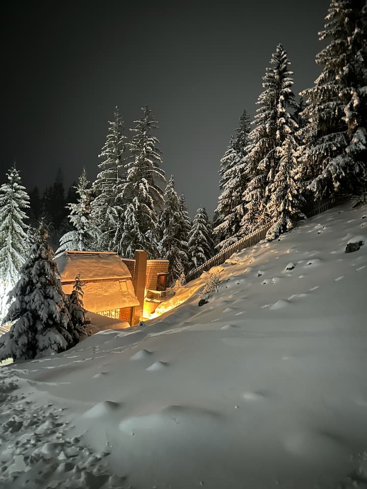 Chalet Les Deux Frères / Architect Interior - Roumanie