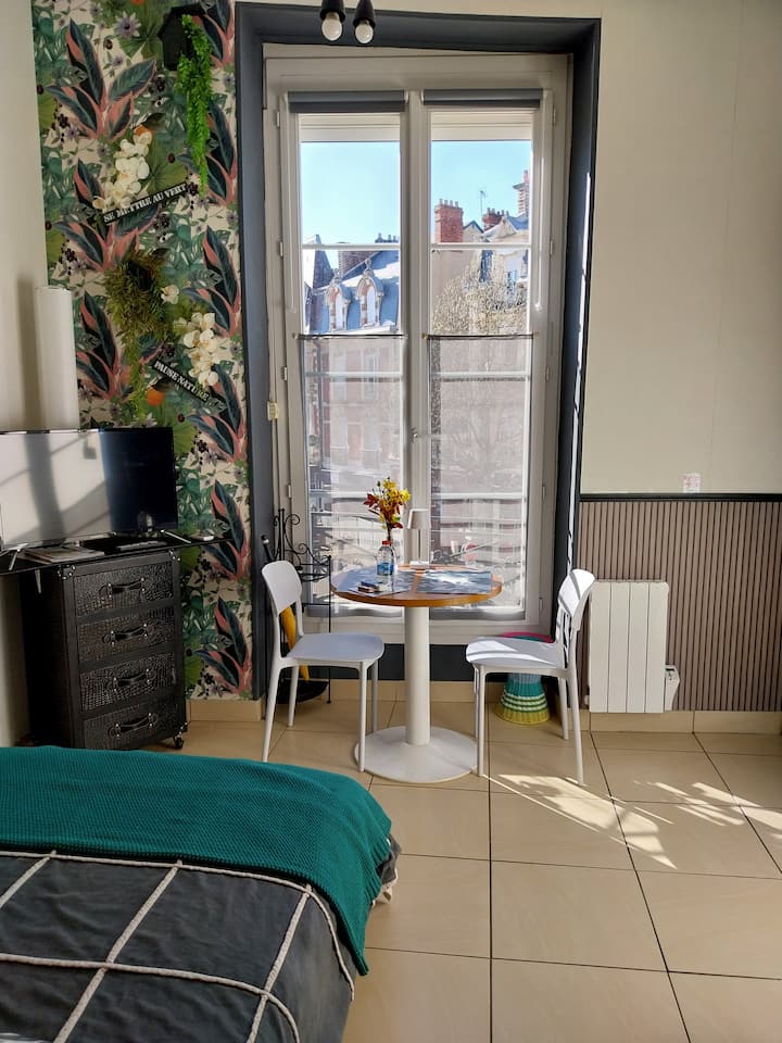 Studio Avec Cachet   République  Et Vieux Mans - ibis budget Le Mans Universite