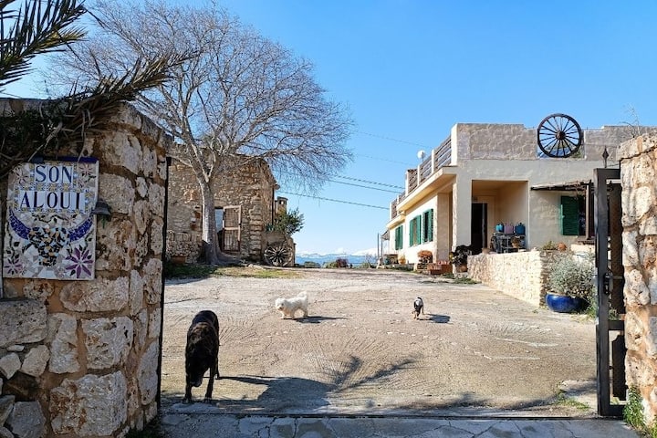 Finca Son Aloui – Havre De Paix à Majorque - Can Picafort