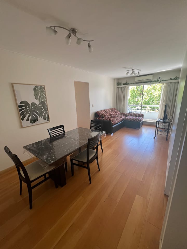 Modern And Spacious Apartment. Alto Palermo Area - Buenos Aires