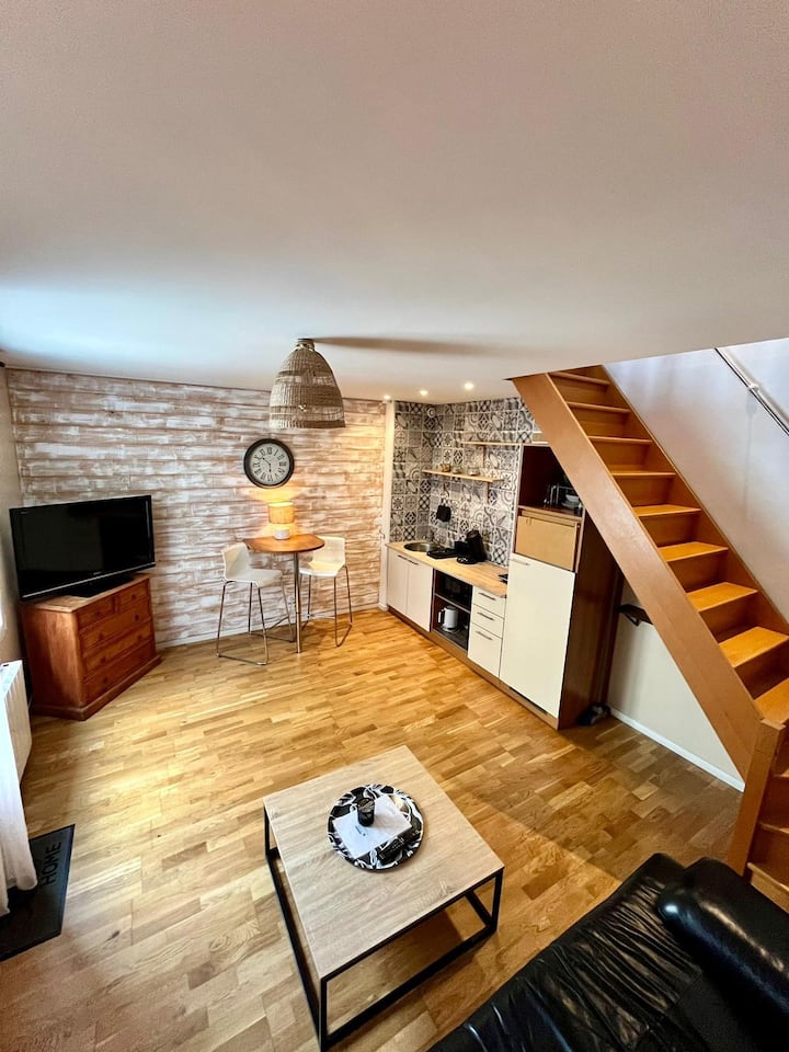 Duplex Reims Près  Ecole Pasteur,arena,cartonnerie - Marne