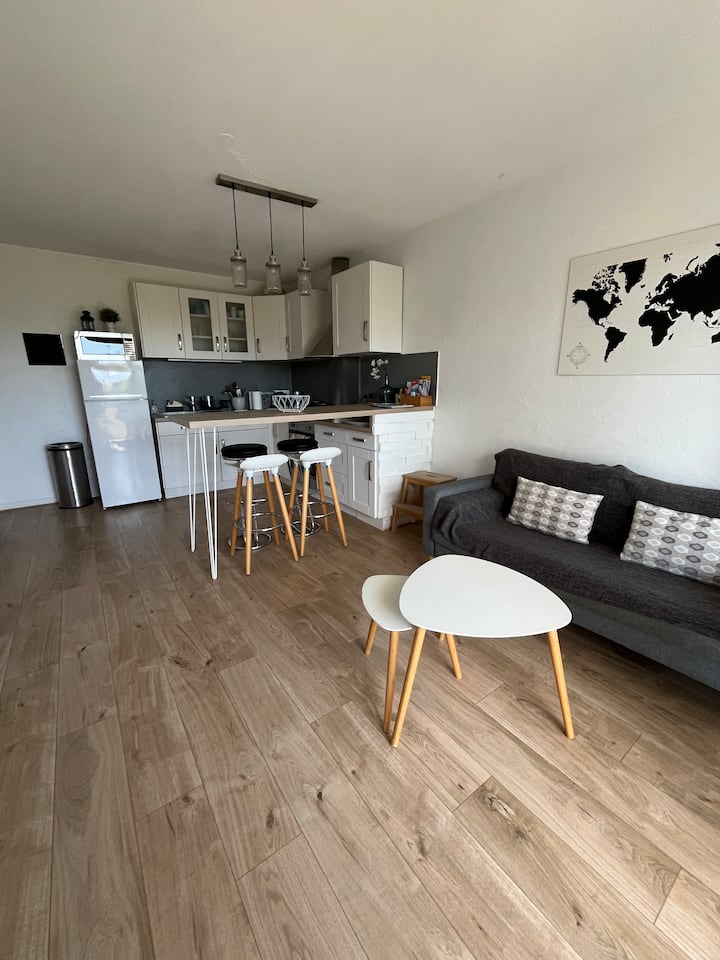 Bel Appartement Lumineux Dans Petite Résidence Calme Avec Piscine - Antibes