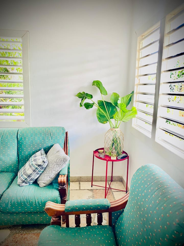 Casa Yeni. "Tropical Garden" - Vinales