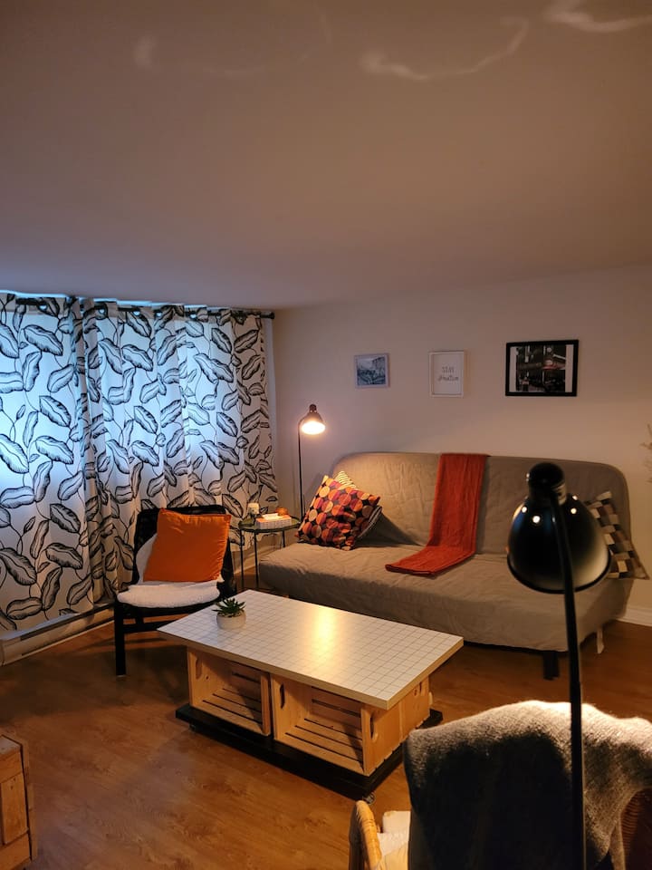 Joli Deux Chambres 31 Jours Minimum - Gatineau