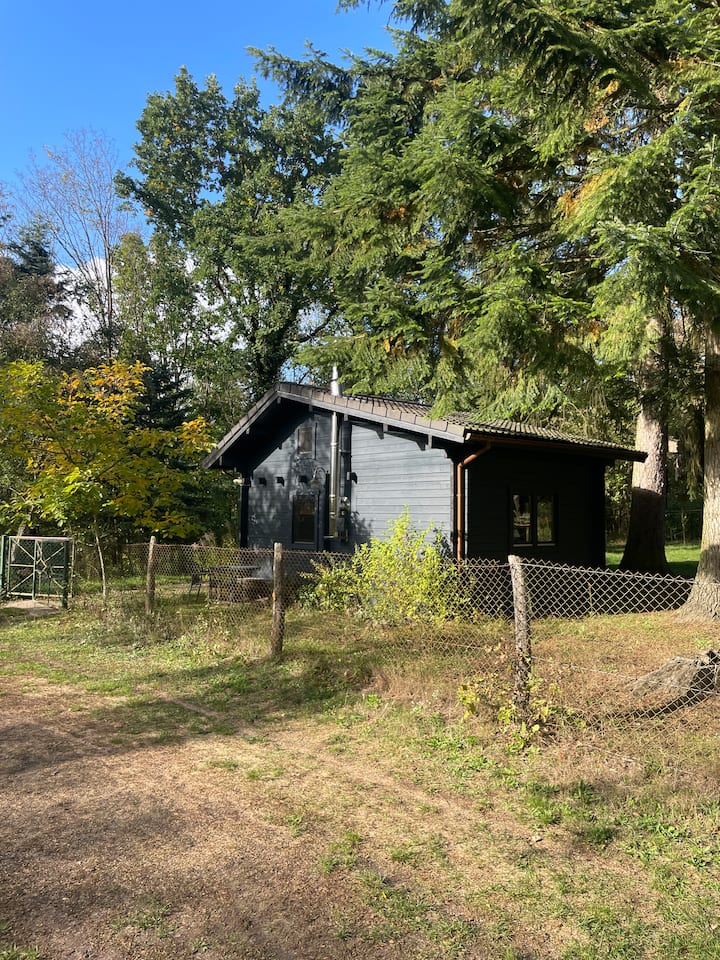 Häuschen Im Wald - Chorin