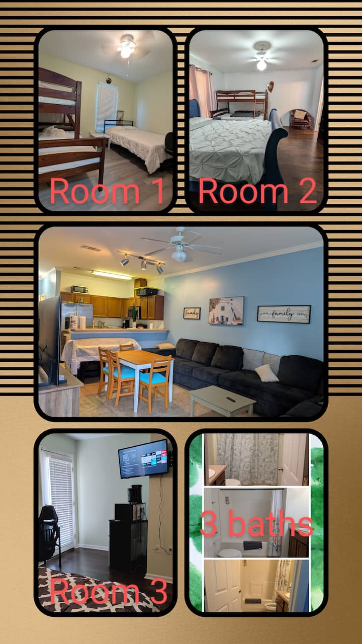 Home (3b/3b): Economical Apt, 7 Mins To Fsu (206) - Tallahassee, FL