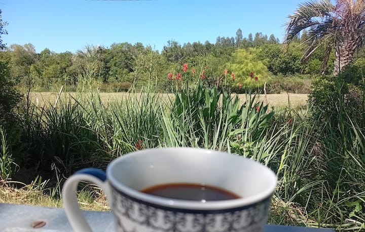 Bio Camping Aromas Nativos - Uruguay