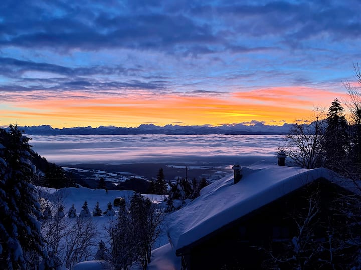 Appartement Dans Un Chalet Vue Lac Léman Montagne - Mijoux