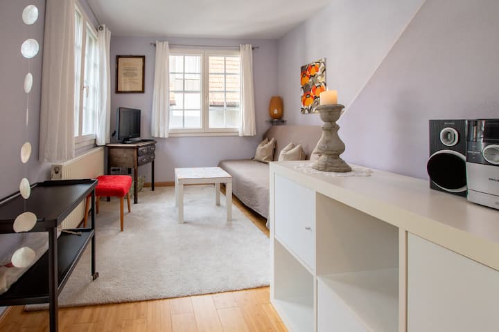 Schwarzwald
Maisonette Wohnung - Haslach im Kinzigtal