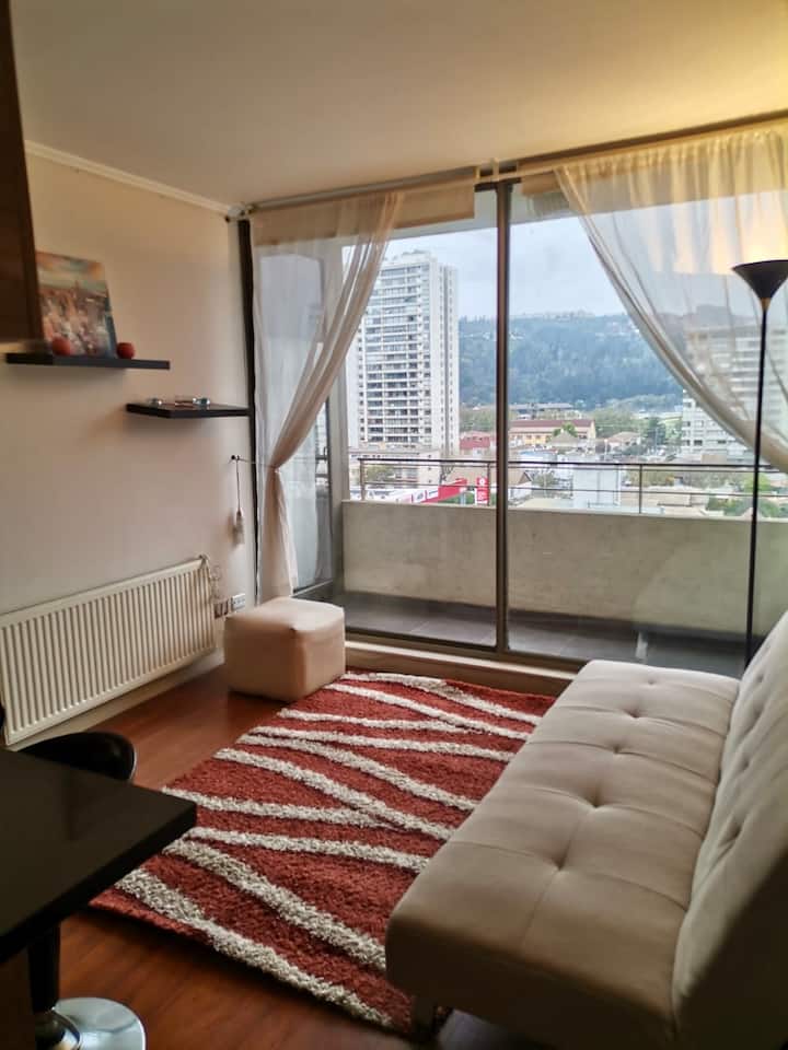 Perfecto En Viña Del Mar - Viña del Mar