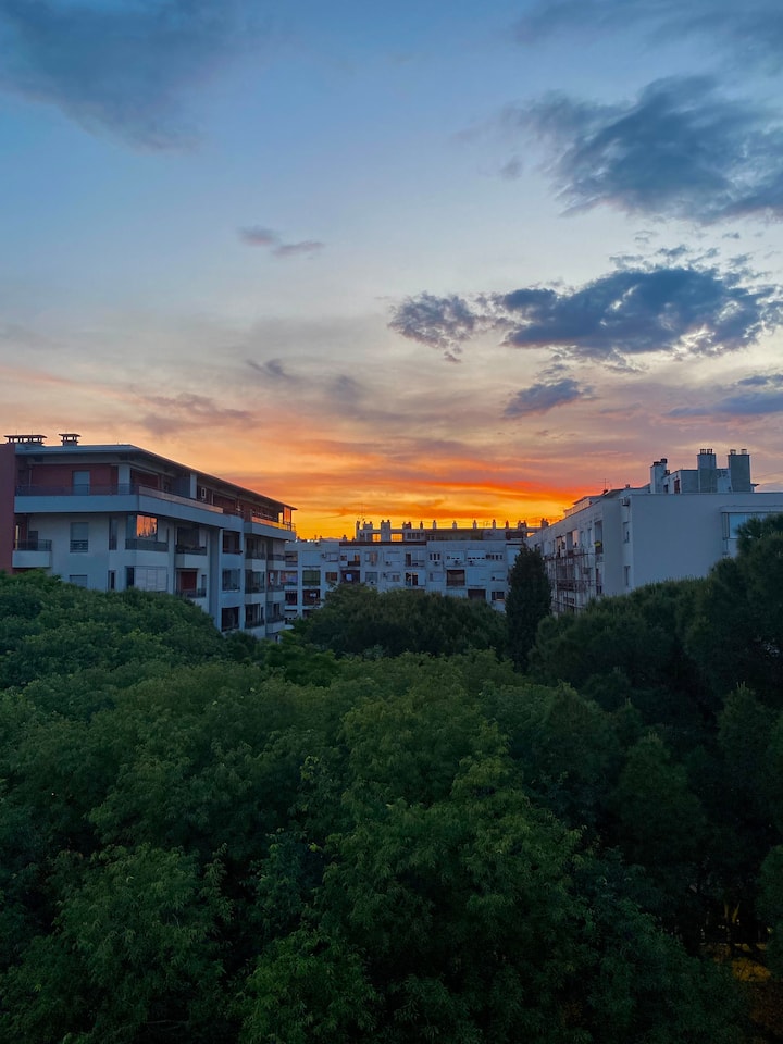 Central Location, Private Big 1 Bedroom Apartment - Podgoritsa