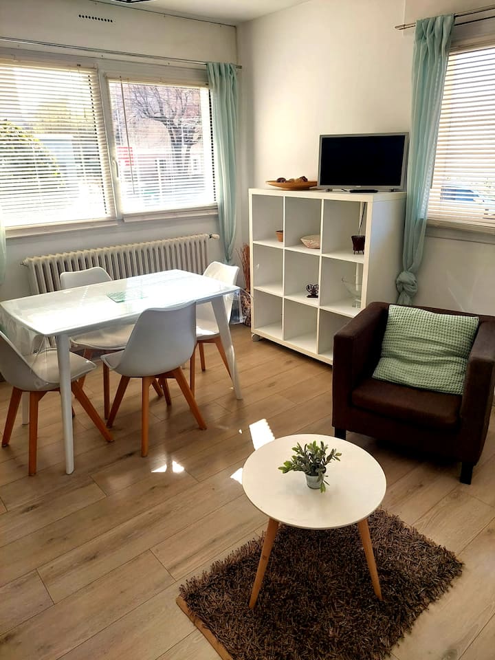 Nid Douillet Avec Parking Et Vélos à Disposition. - Annecy