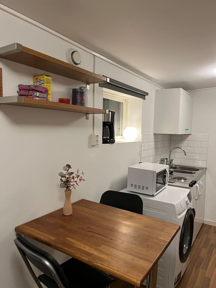 Small Apartment Near Stockholm. Renovated 2025 - Stockholm