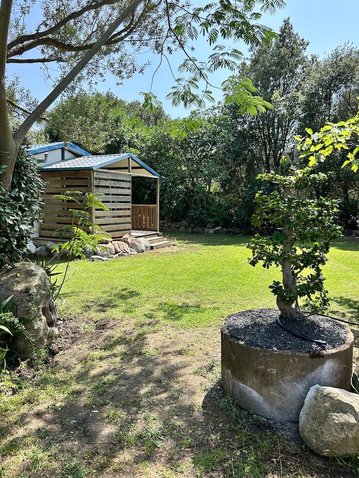 Petit Gite Tranquille Dans Son Coin De Verdure - Corse-du-Sud