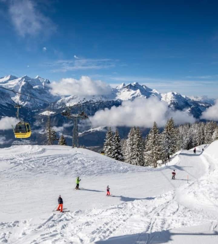 "Edelweiss"
Montagne, Nature, L'eau De Source - Meiringen