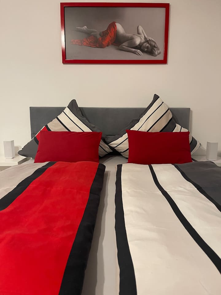 Modernisierte Voll Eingerichtetes Apartment - Augsburg