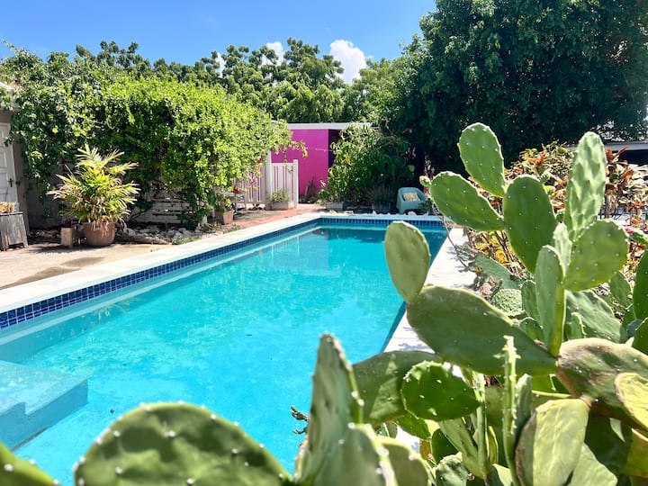 Tropical Breeze 'Blenchi' - Curaçao