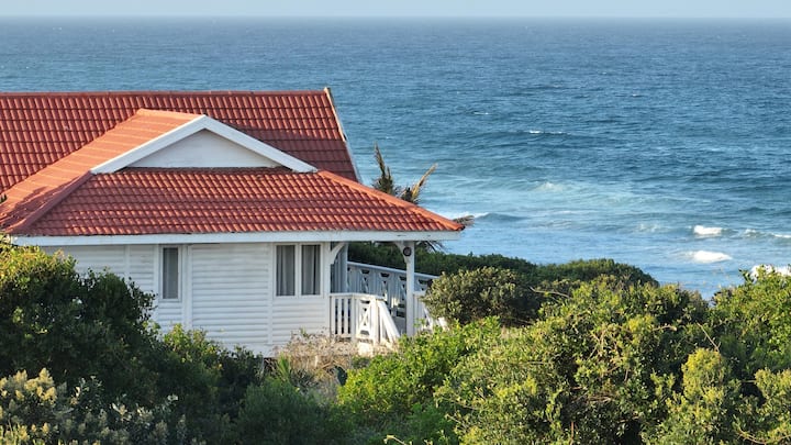 Casablanca - Mozambique