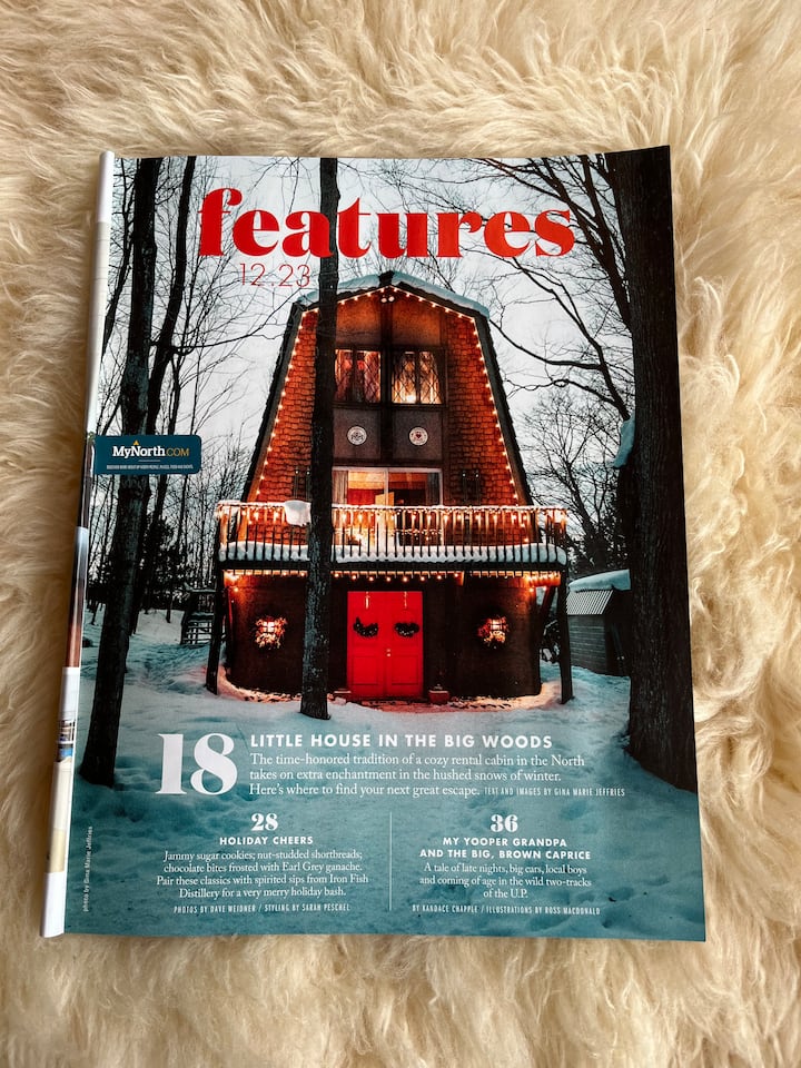 Mid Century Modern Chalet Nubs Nob Boyne Highlands - Harbor Springs, MI