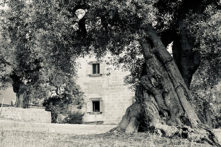 San Virgilio En Pouilles: Appartement Avec Jardin - Fasano