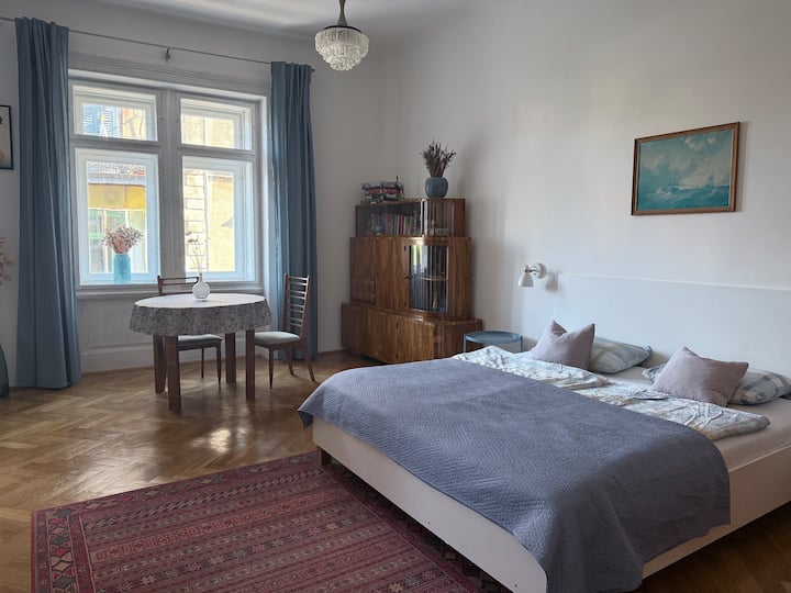 Spacious & Historic Apartment Near The City Centre - Fiume (Croazia)