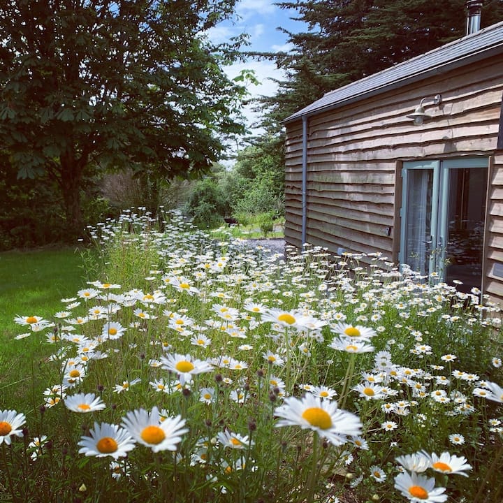 Coastal Retreat, Woodburner, Walk To Beaches & Pub - Falmouth