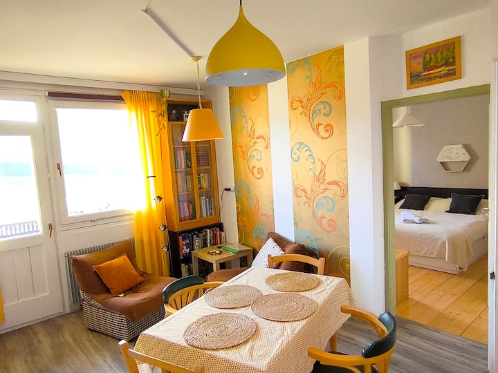Comfy, Central With Charm, Bikes, Sledges For Fun - Bohinjska Bistrica