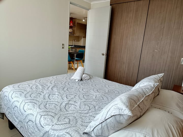 P18 Amoblado, Limpieza Sobresaliente - Santiago