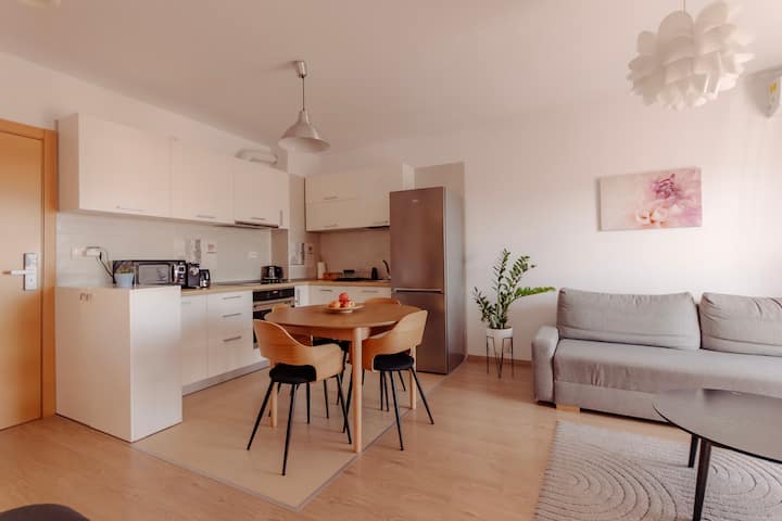 Zen Viva Apartment - Cluj-Napoca
