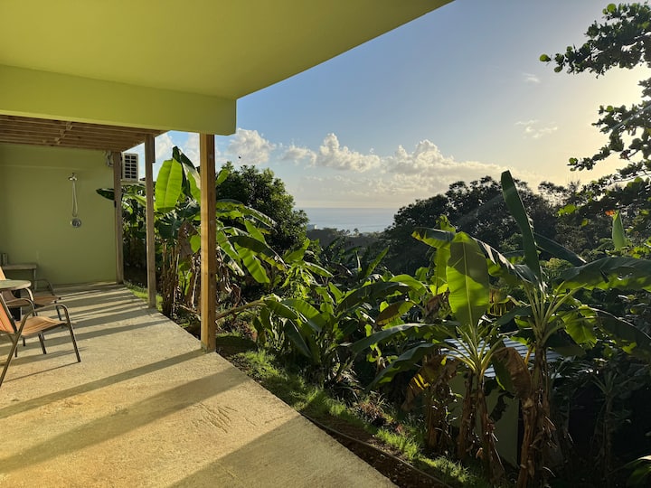 Studio Apt With Endless Ocean Views - Mayagüez