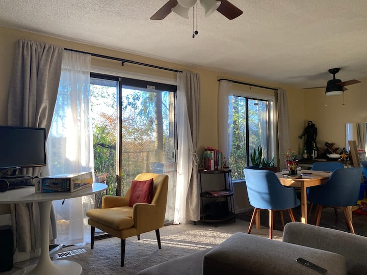 Bellevue Condo Near Everything - Bellevue, WA