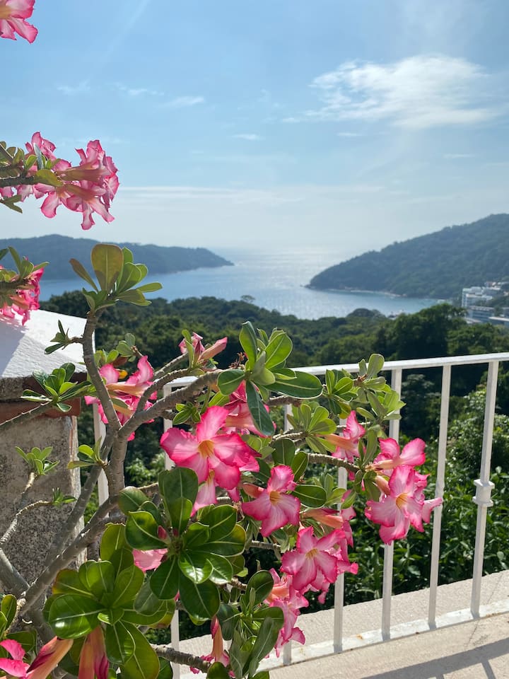 Cronos, Pichilingue - Acapulco