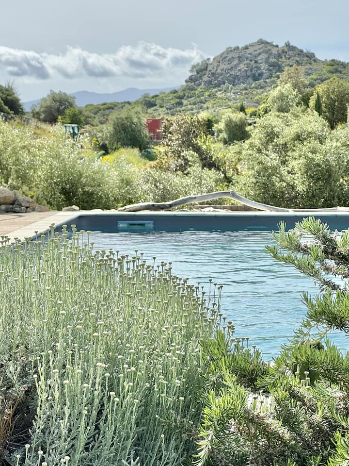Villa Belombra 6 Casta , Appartement - Corsica