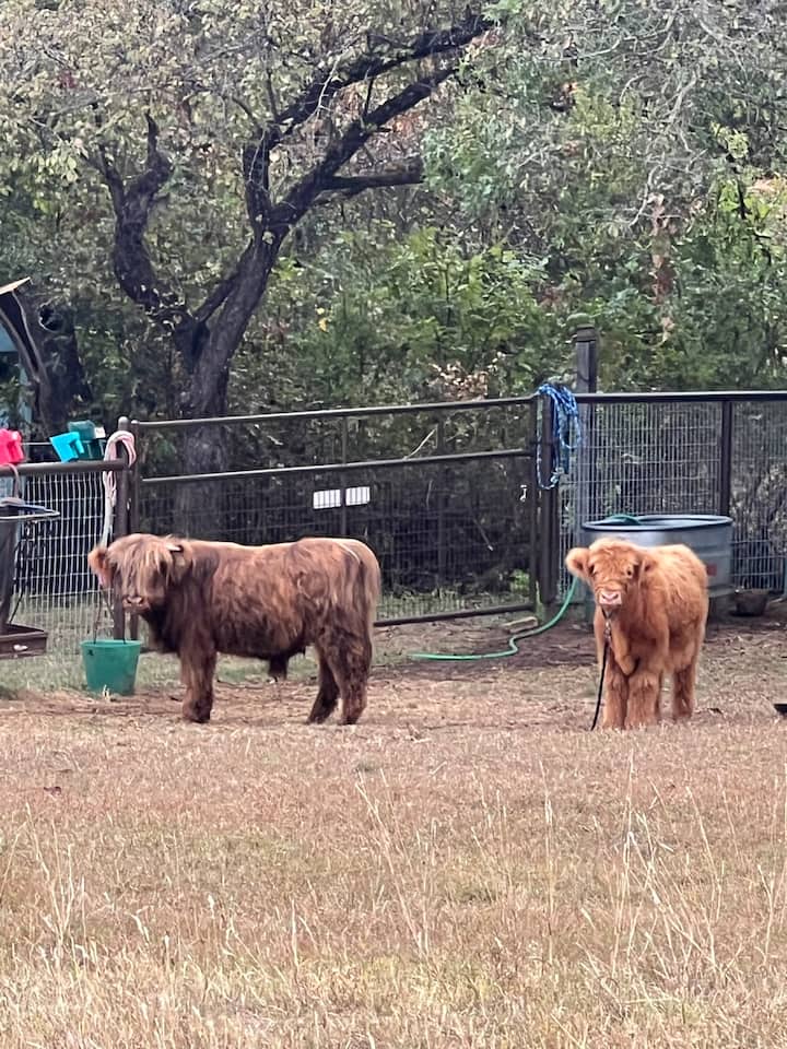 The Country Cottage-farm Pets,pool,peaceful Escape - Weatherford, TX