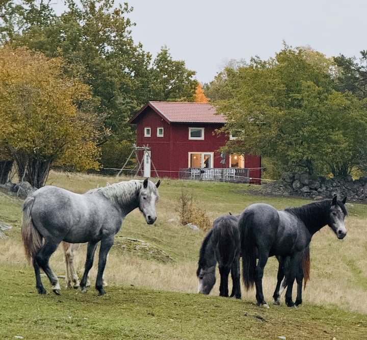 Farm Cottage W/ Open Views | Near Lake & Free Boat - Valdemarsvik