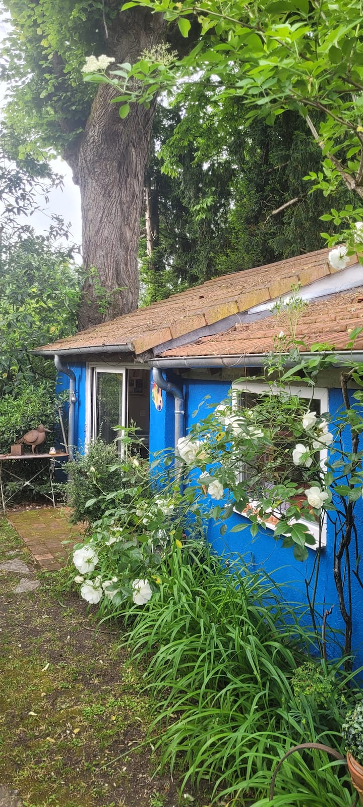 La Cabane Sous Le Tilleul, Studio 18m2 Orl Centre - Orléans