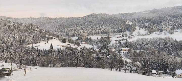 "Le Gîte Du Lapidaire" Appartement T3 - Lamoura