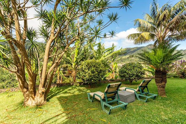 Madeira Apartment - Madeira