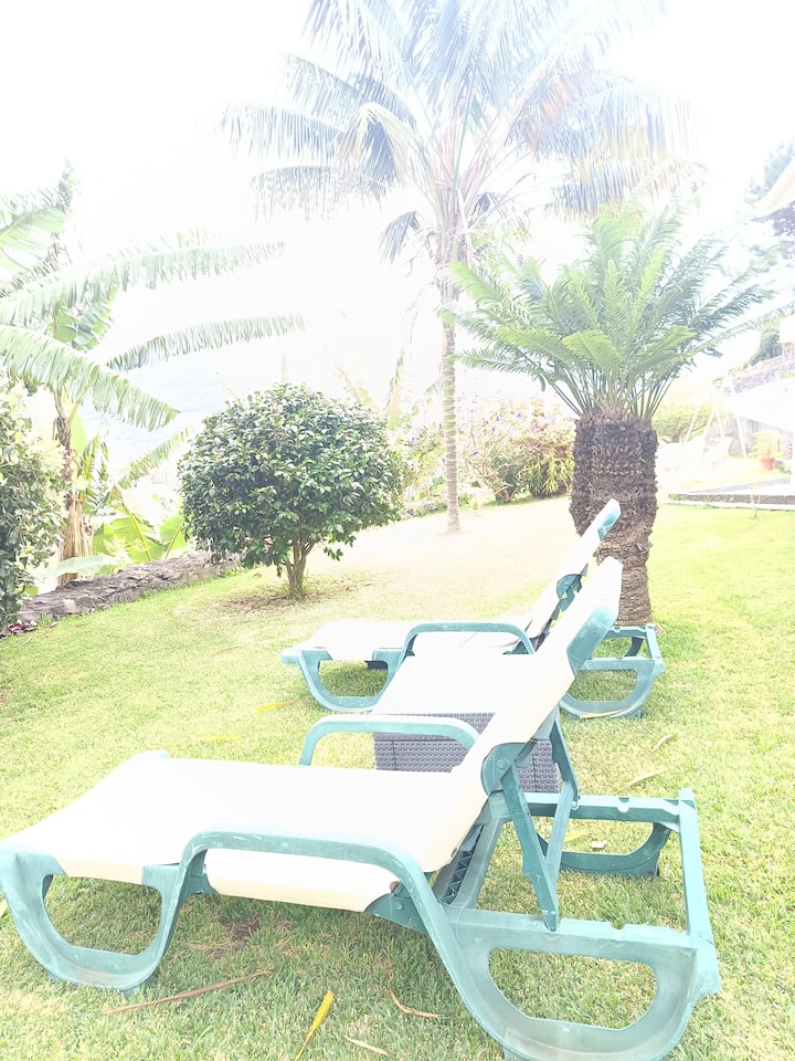 Madeira Apartment - Madeira