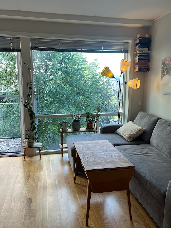 Pen To-roms M/balkong På Solsiden - Trondheim