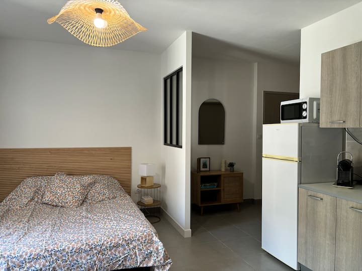 Studio 30m2 Climatisé Corte - Corte