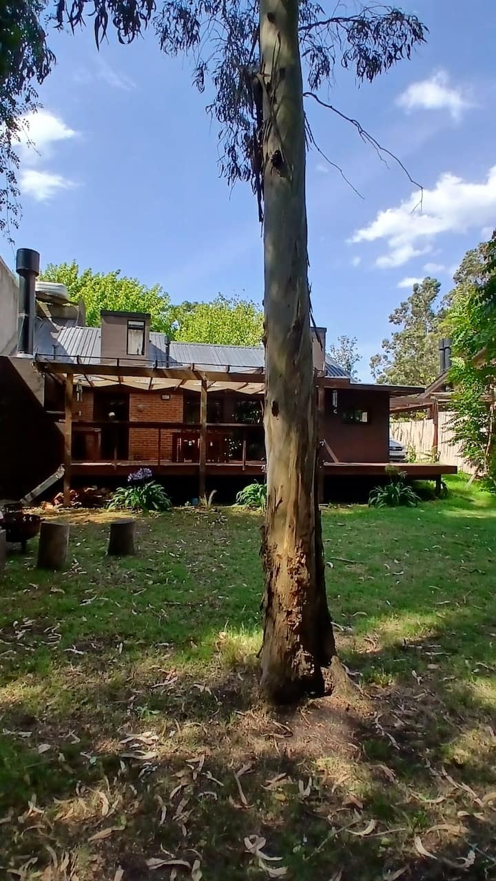 La “Casita Del Bosque” - Mar del Plata